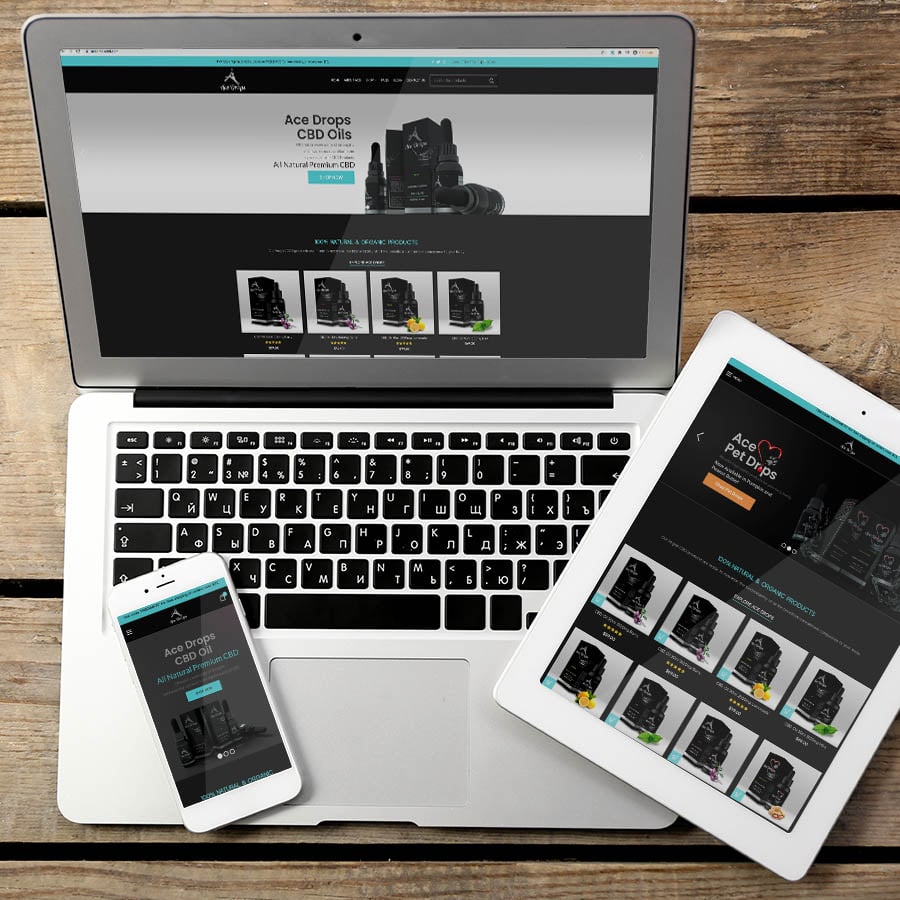 Pitch Decks - BM Innovations